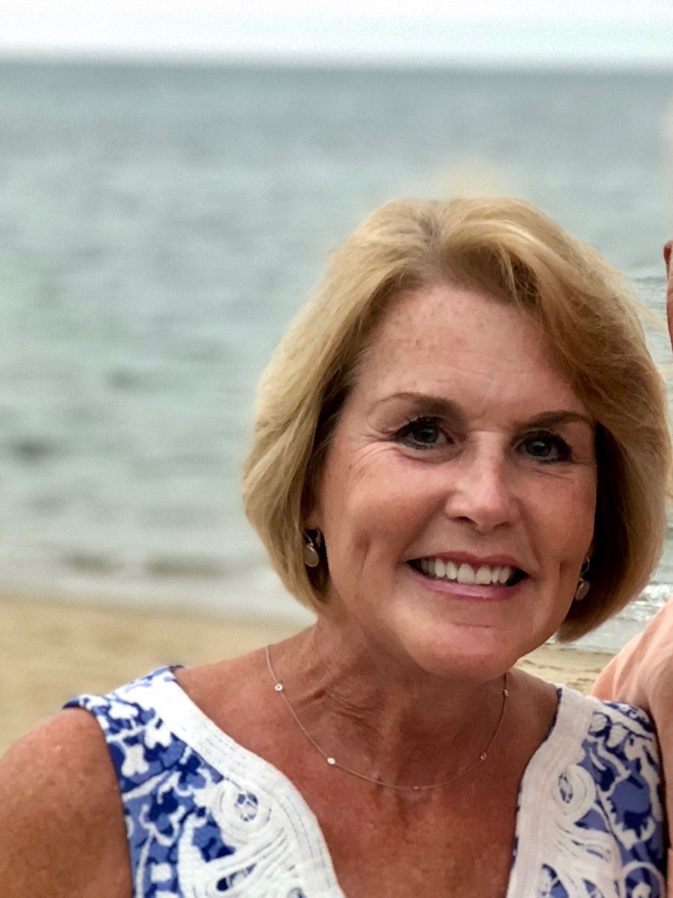 Meet Your Fellow Penguins!! - Penguin Random House Retail