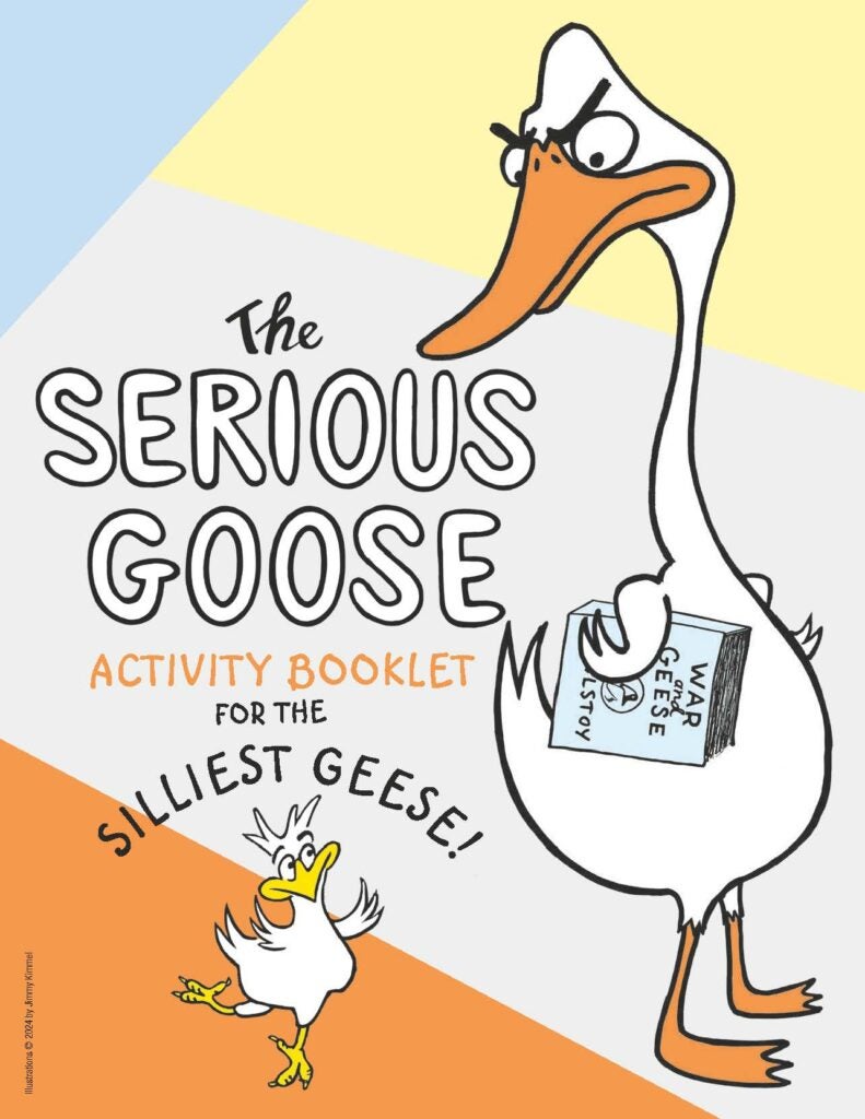 The Serious Goose - Penguin Random House Retail